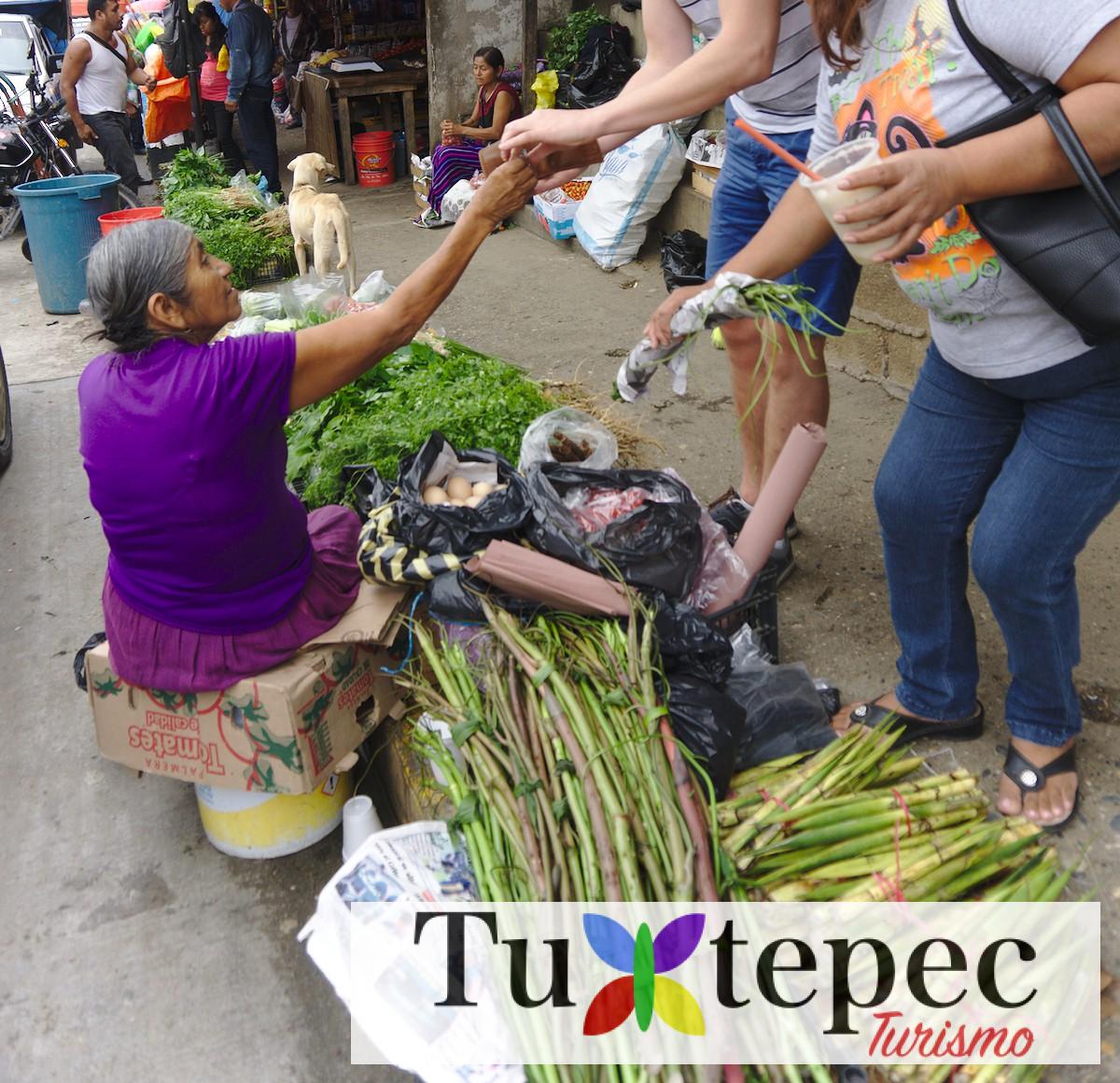 Indigeneous communities in the Chinantla, Oaxaca - Chinantec & Mazatec